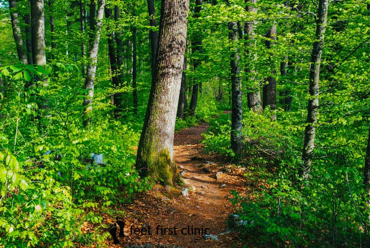 How To Protect Your Feet and Legs From Ticks - Feet First Clinic