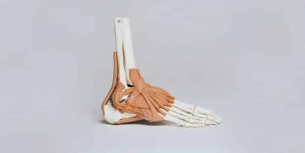 Why Your Ankle Cracks When Rotating: A Comprehensive Guide - Feet First ...