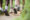 The Science of Walking: How Foot Mechanics Impact Your Health - Feet ...